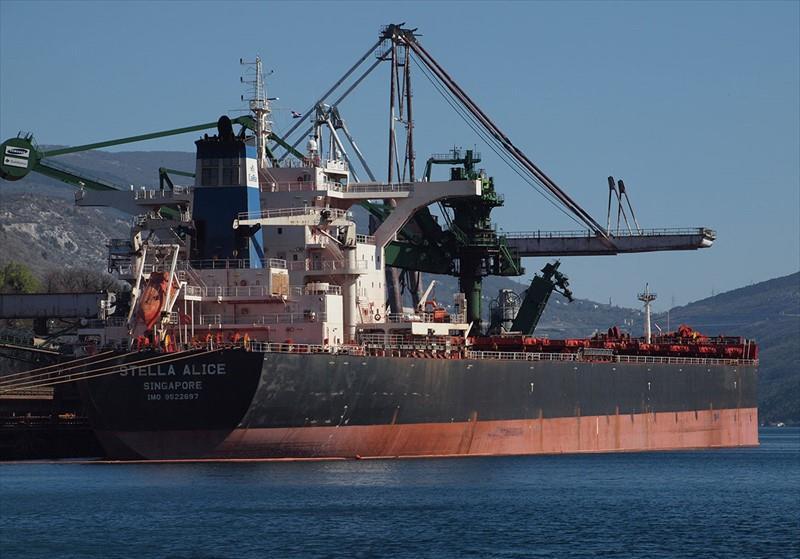 STELLA ALICE - Vesseljoin