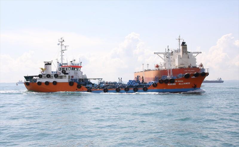 MARINE ALLIANCE - Vesseljoin