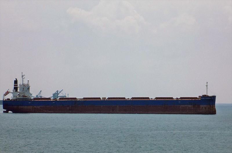 NORD PENGUIN - Vesseljoin