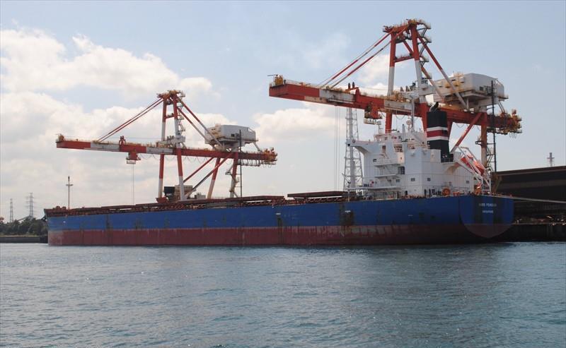 NORD PENGUIN - Vesseljoin