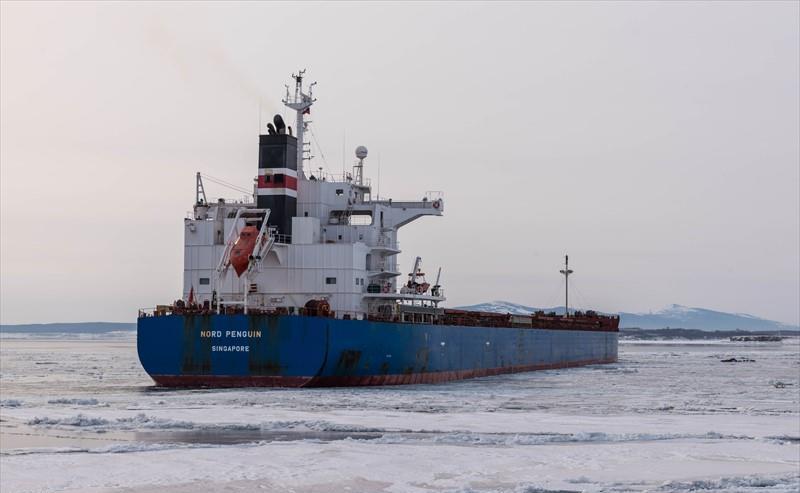 NORD PENGUIN - Vesseljoin