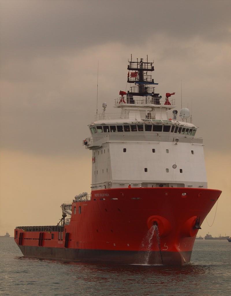 PACIFIC GOLDFINCH - Vesseljoin