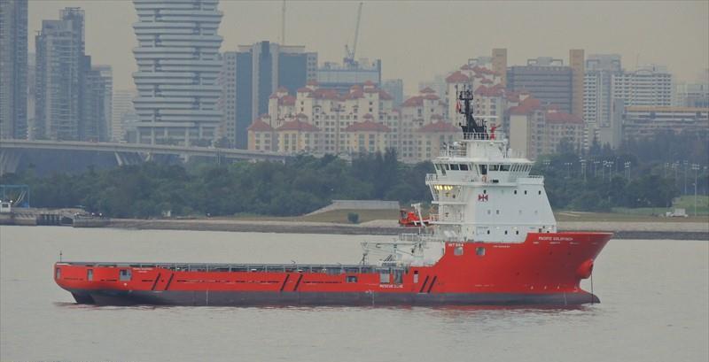 PACIFIC GOLDFINCH - Vesseljoin