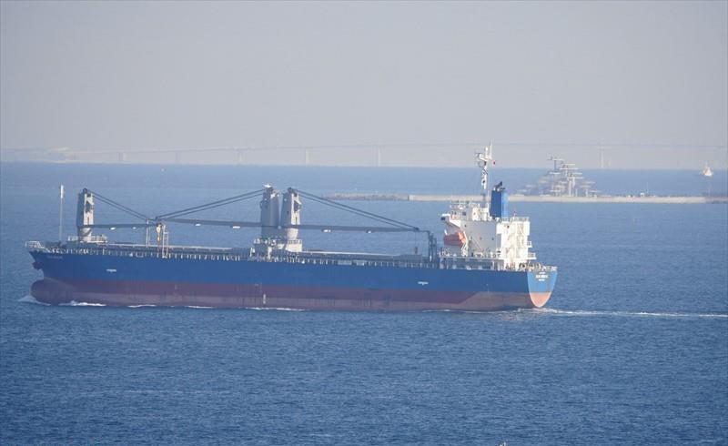 SUN BRAVE - Vesseljoin