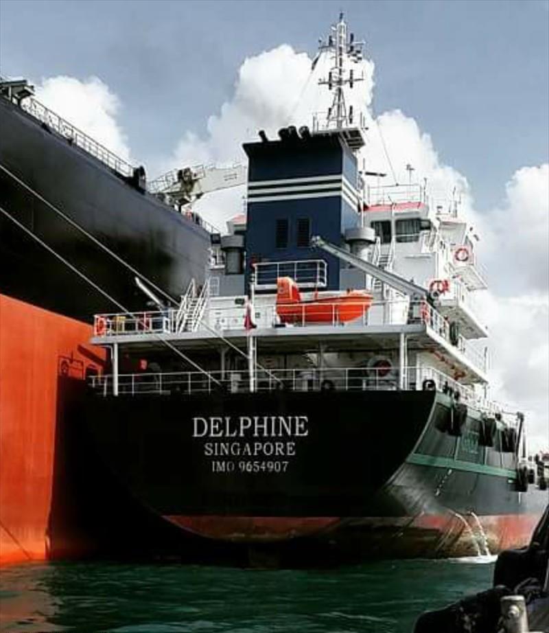 DELPHINE - Vesseljoin