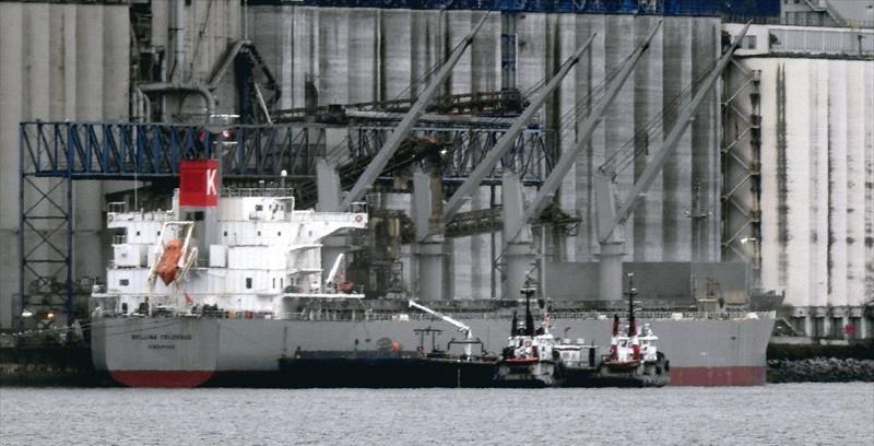 BELLINA COLOSSUS - Vesseljoin