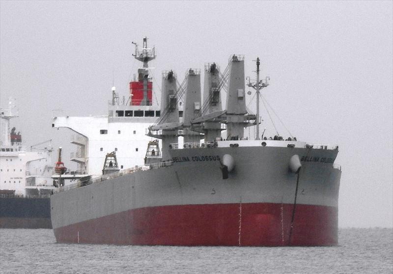 BELLINA COLOSSUS - Vesseljoin