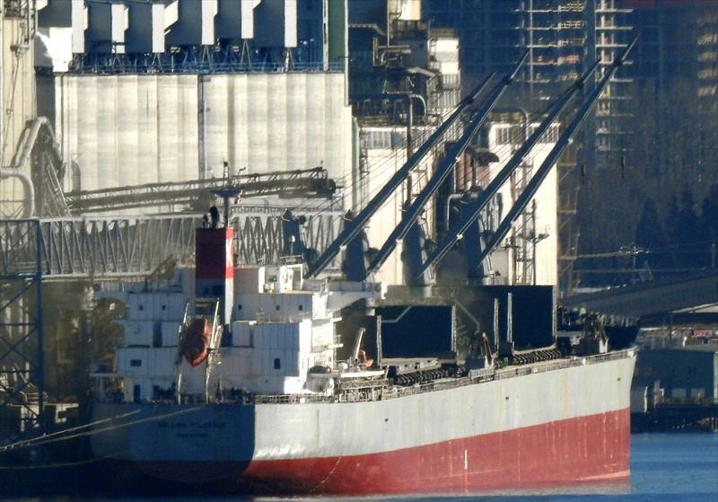 BELLINA COLOSSUS - Vesseljoin