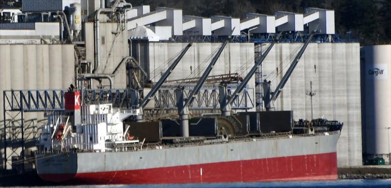 BELLINA COLOSSUS - Vesseljoin