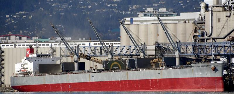 BELLINA COLOSSUS - Vesseljoin