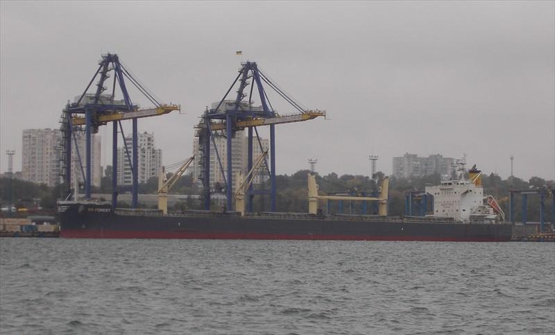 KN FOREST - Vesseljoin