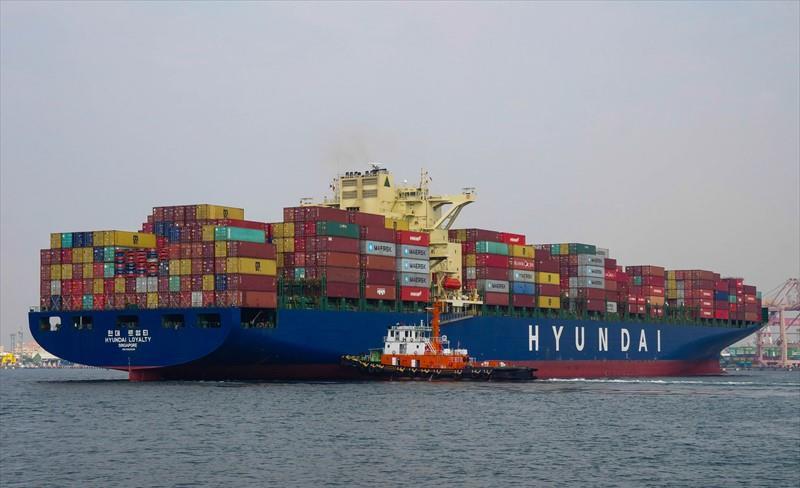 HYUNDAI LOYALTY - Vesseljoin