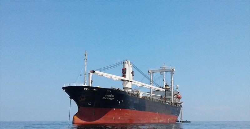 SEA FOREST - Vesseljoin