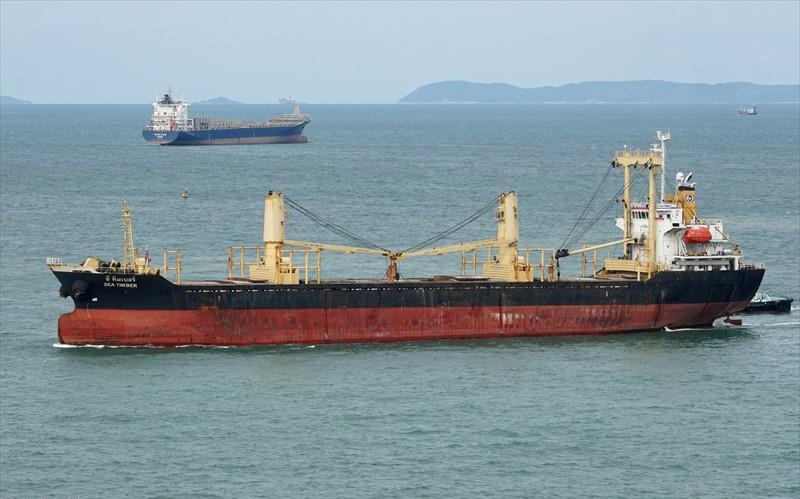 SEA TIMBER - Vesseljoin