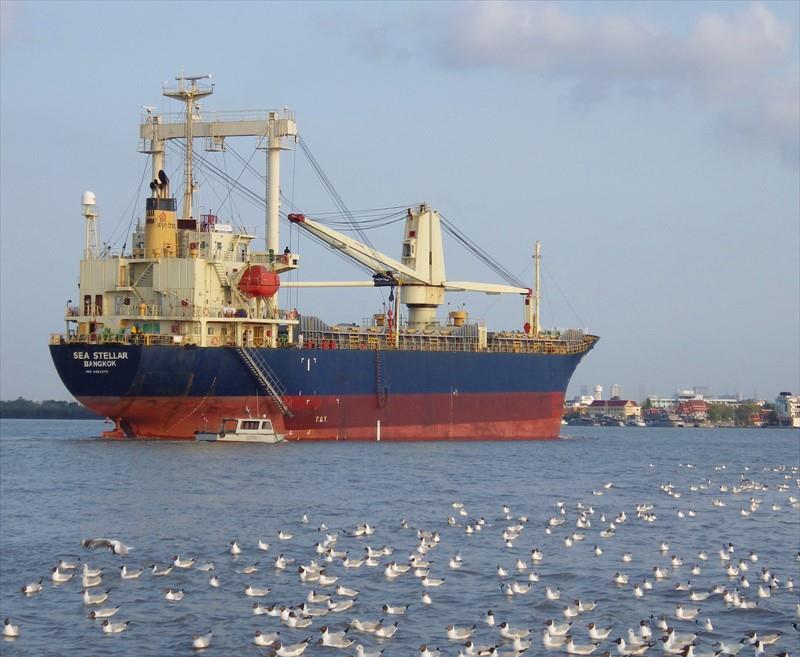 SEA STELLAR - Vesseljoin