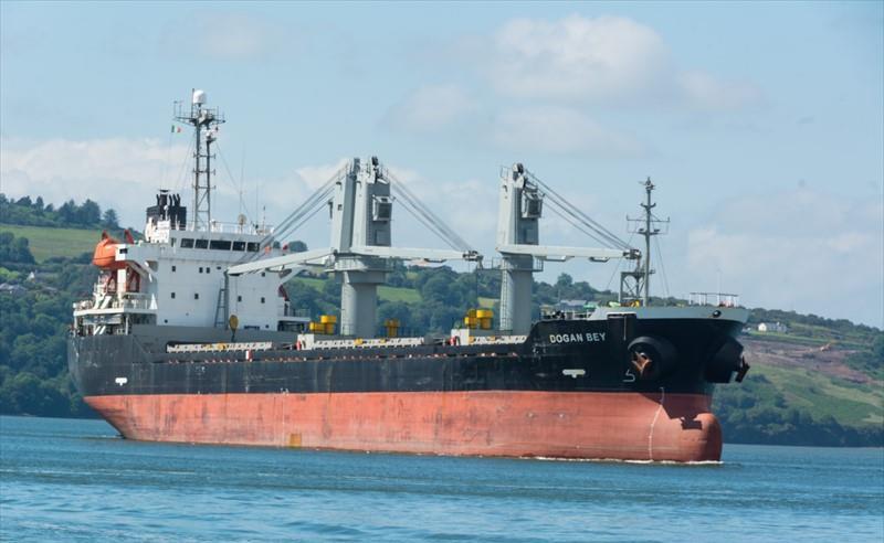 PIONEER ELITE - Vesseljoin