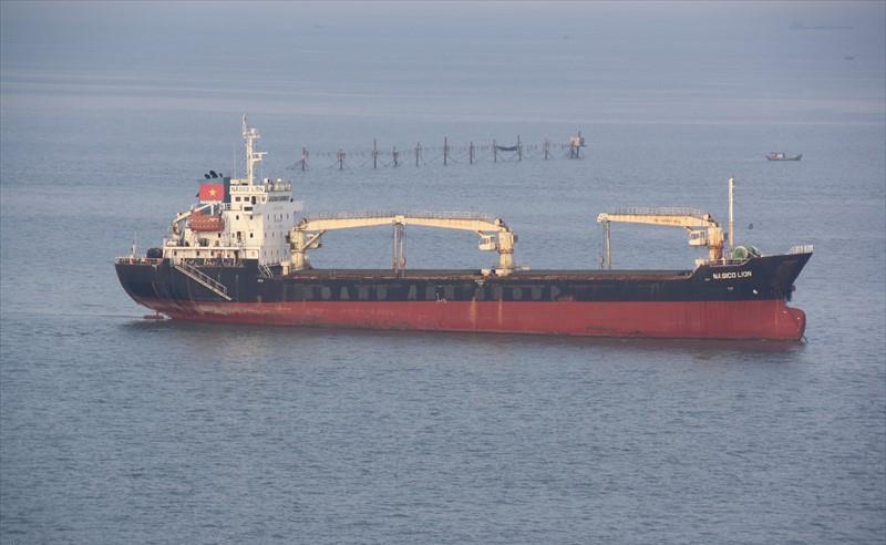 NASICO LION - Vesseljoin