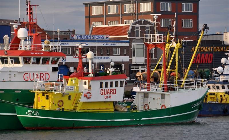 DOLFIJN - Vesseljoin