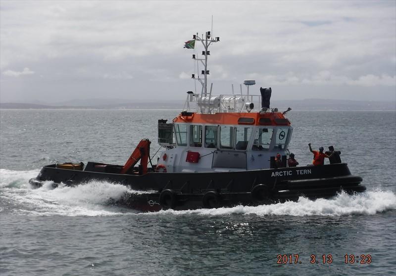 ARCTIC TERN - Vesseljoin