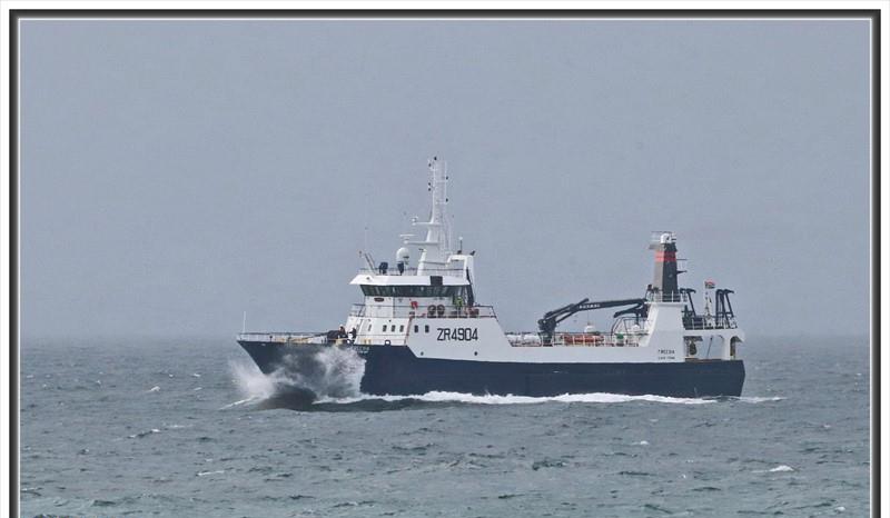 FREESIA - Vesseljoin