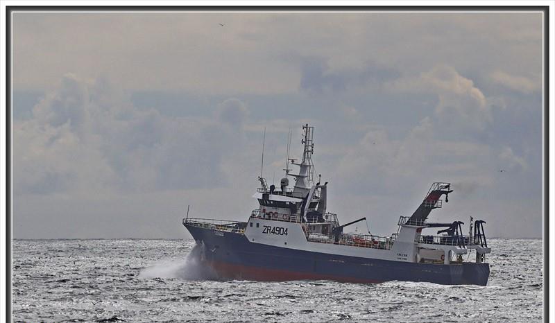 FREESIA - Vesseljoin