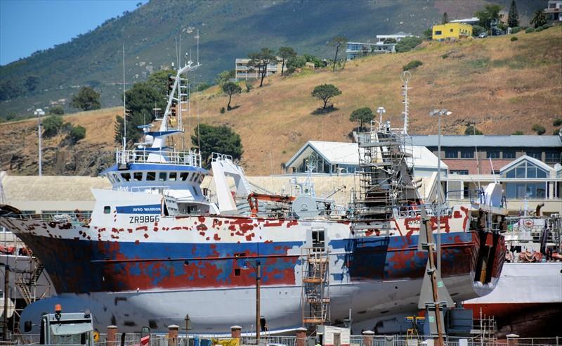 AVRO WARRIOR - Vesseljoin