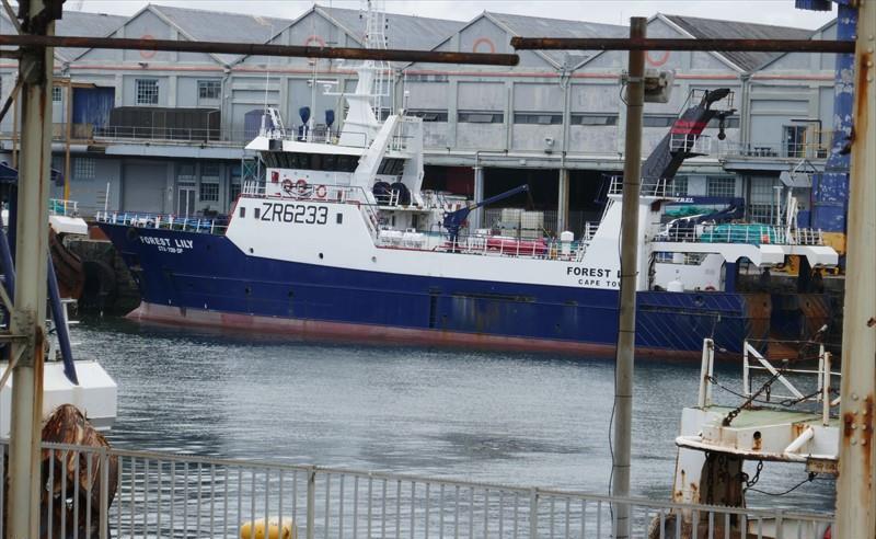 FOREST LILY - Vesseljoin