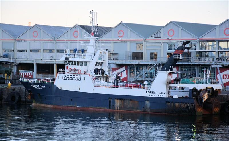 FOREST LILY - Vesseljoin