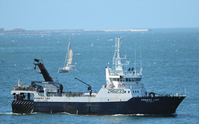 FOREST LILY - Vesseljoin