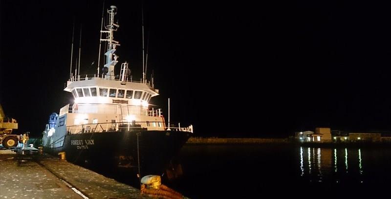 FOREST LILY - Vesseljoin