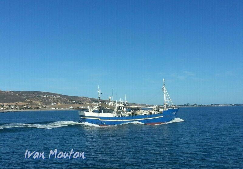 ALERT III - Vesseljoin