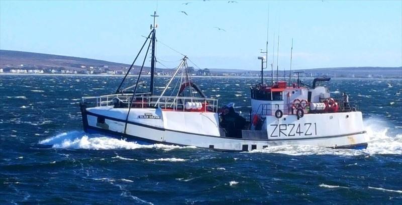 SILVER DOLPHIN - Vesseljoin