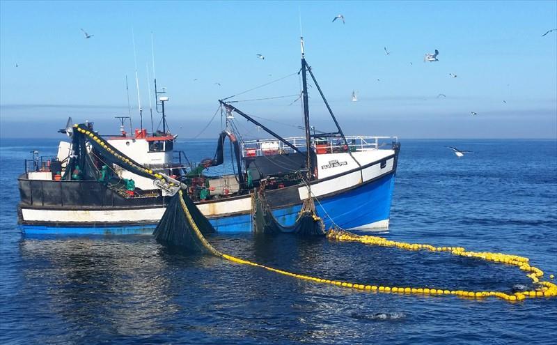 SILVER DOLPHIN - Vesseljoin