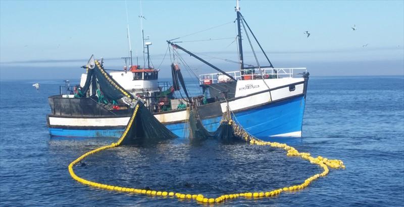 SILVER DOLPHIN - Vesseljoin