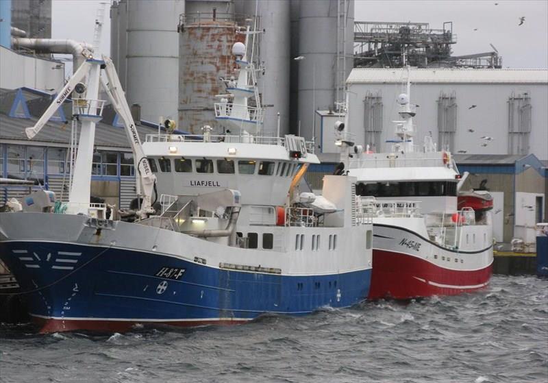 OCEAN FRESH - Vesseljoin