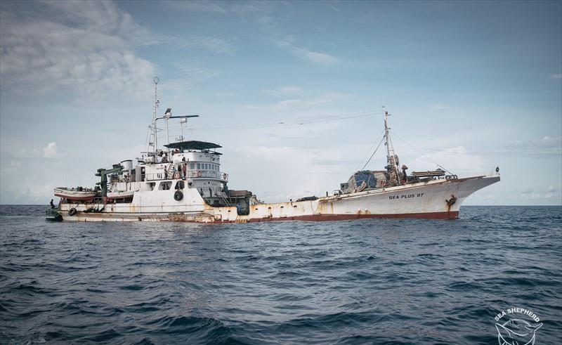 SEAPLUS 87 - Vesseljoin