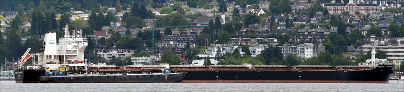 SARONIC CHAMPION - Vesseljoin