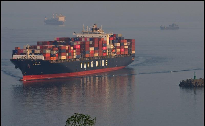 YM MUTUALITY - Vesseljoin