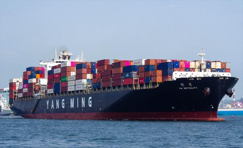 YM MUTUALITY - Vesseljoin