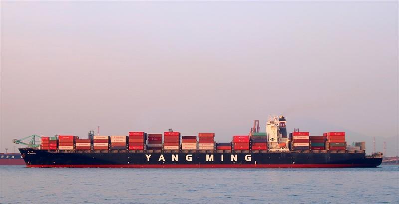 YM MUTUALITY - Vesseljoin