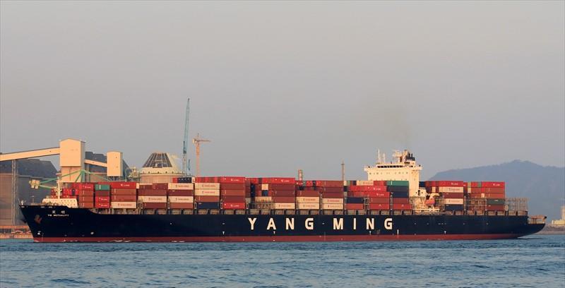 YM MUTUALITY - Vesseljoin