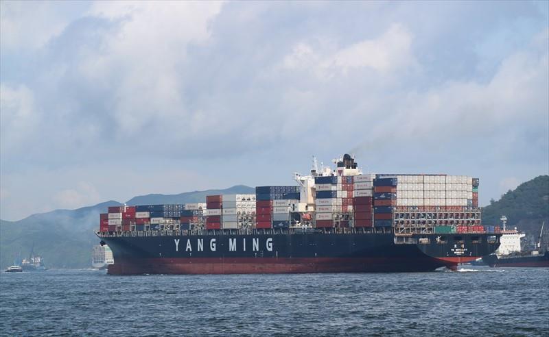 YM MUTUALITY - Vesseljoin