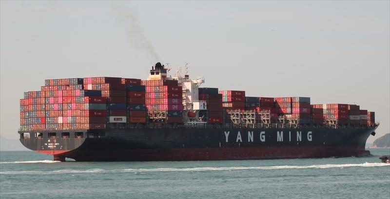 YM MASCULINITY - Vesseljoin