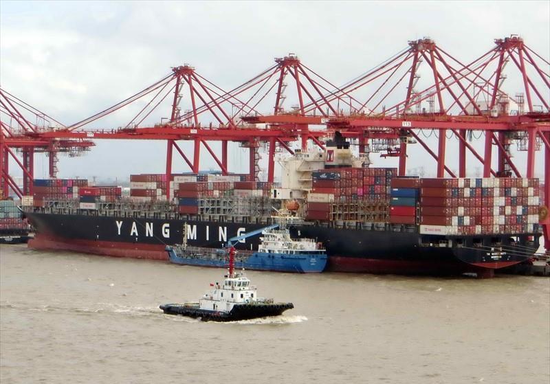 YM MASCULINITY - Vesseljoin