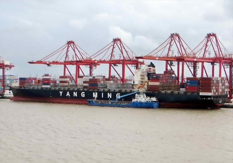 YM MASCULINITY - Vesseljoin