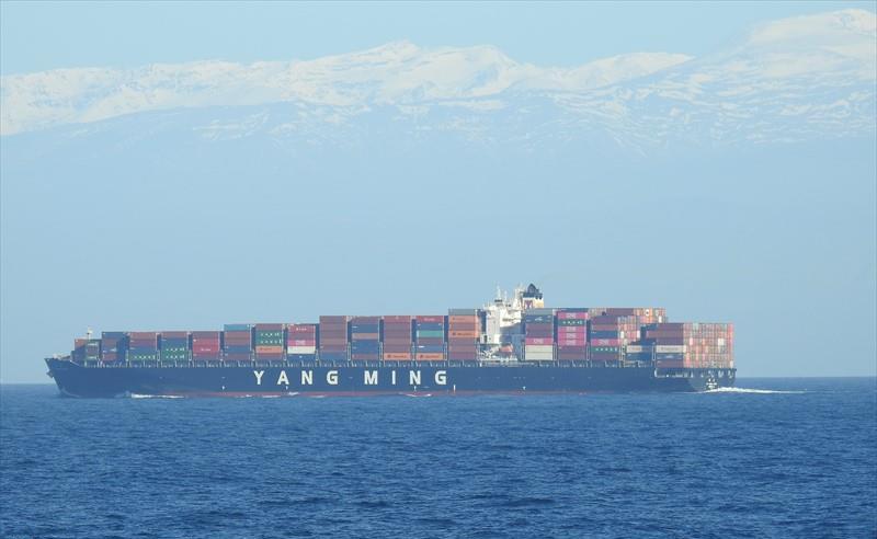 YM MASCULINITY - Vesseljoin