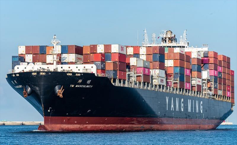 YM MASCULINITY - Vesseljoin