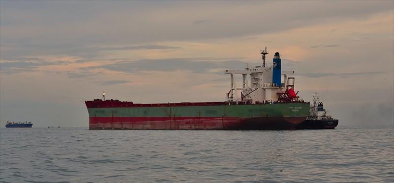 CAPE BUZZARD - Vesseljoin