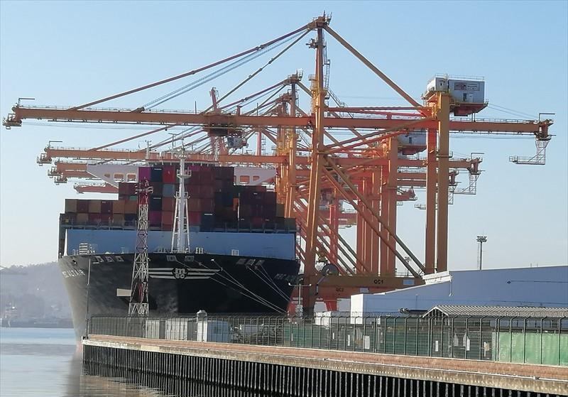 MSC ALTAIR - Vesseljoin