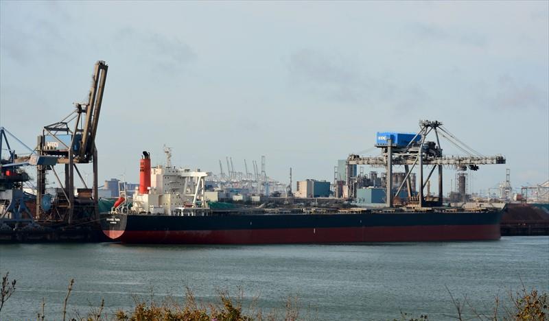 ORANGE TIARA (Bulk Carrier) - IMO: 9624445 | Vessel Details